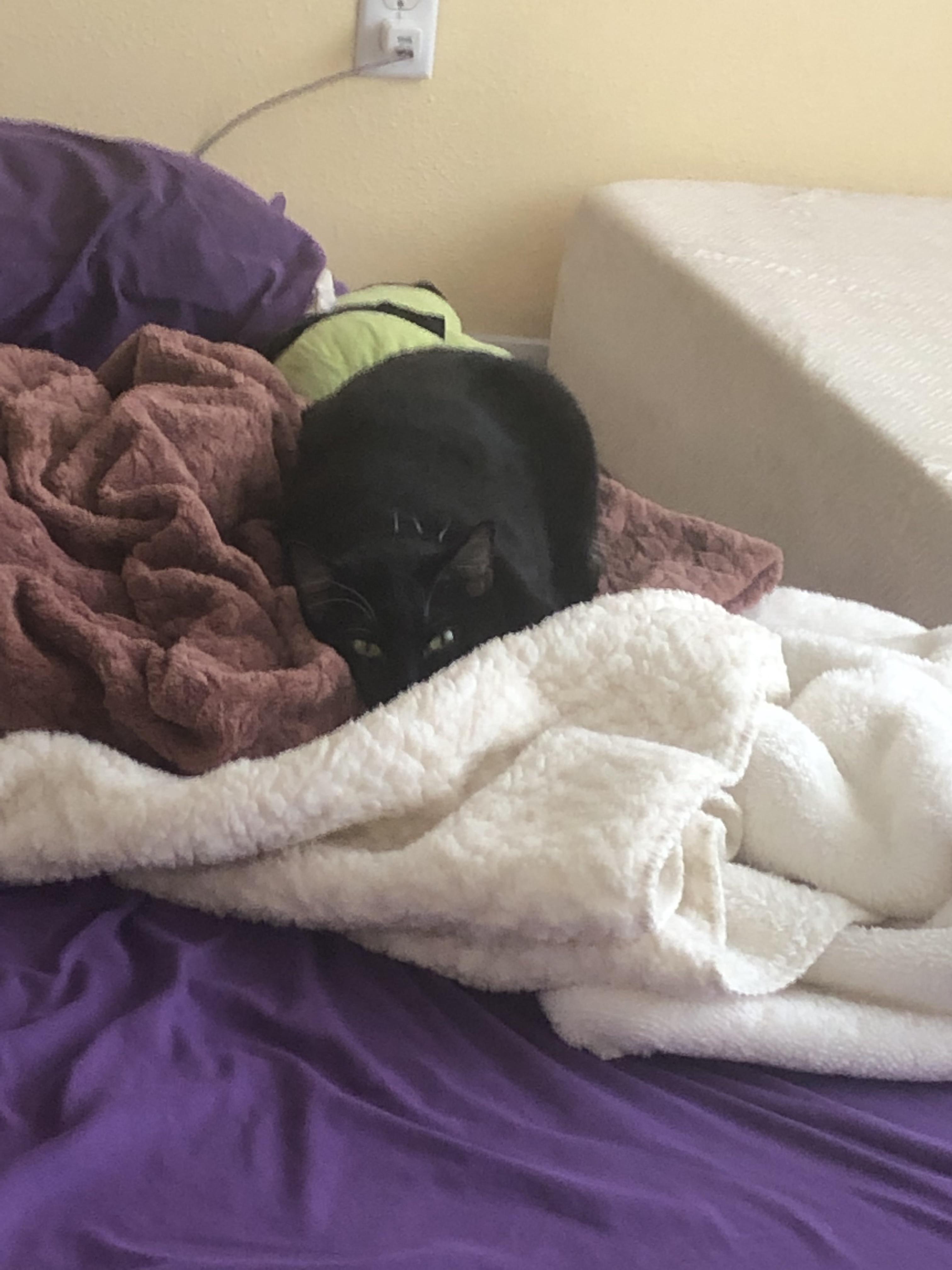 Show me your grumpy tuxies! | Scrolller