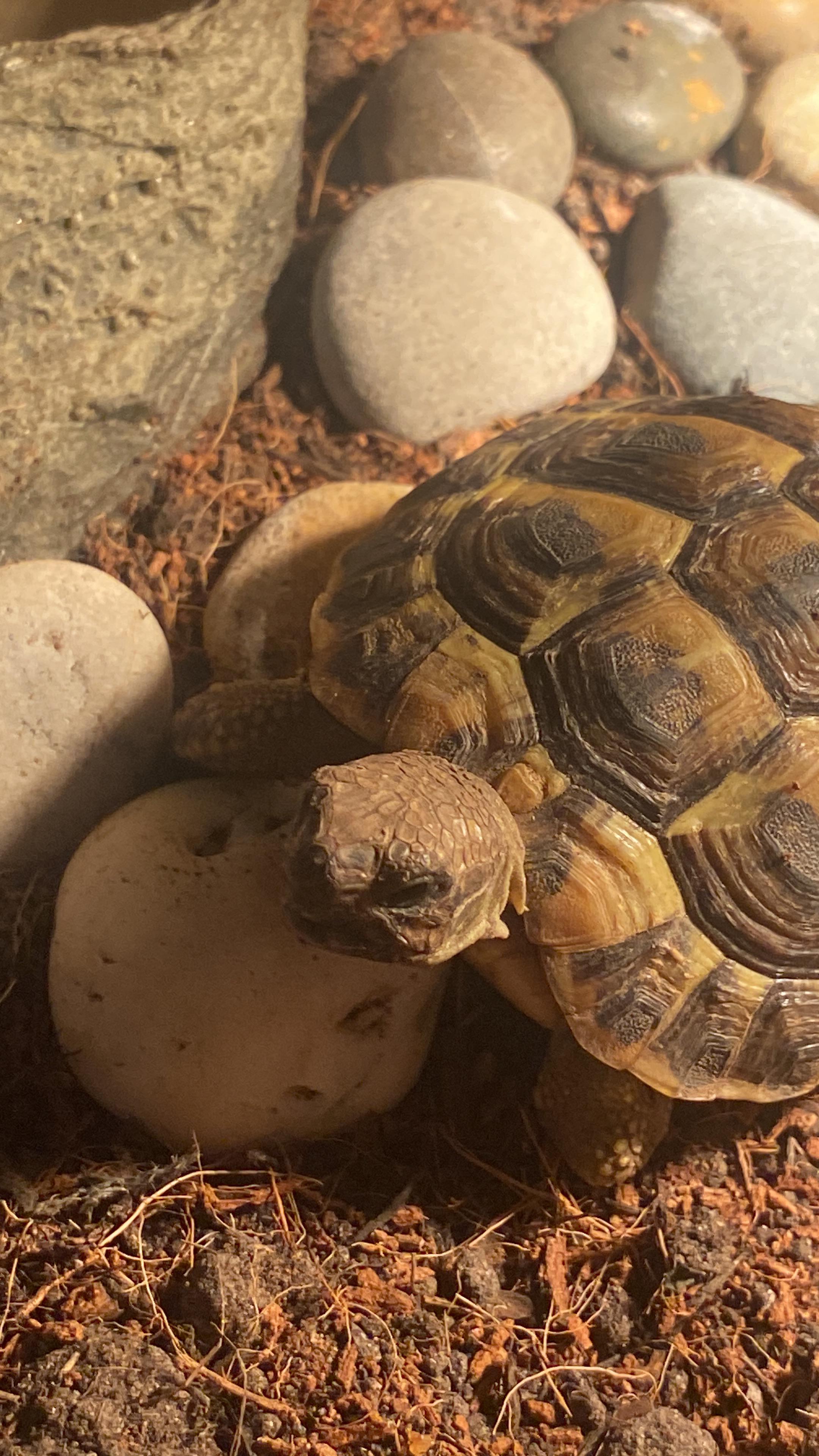 Grumpy girl | Scrolller