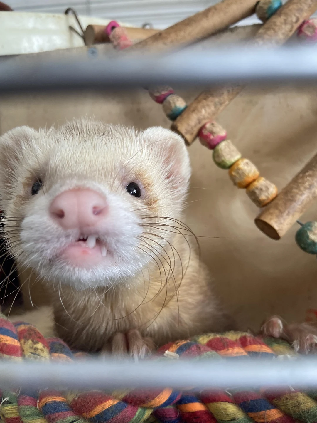 This is Dwight him tooth always get stuck | Scrolller