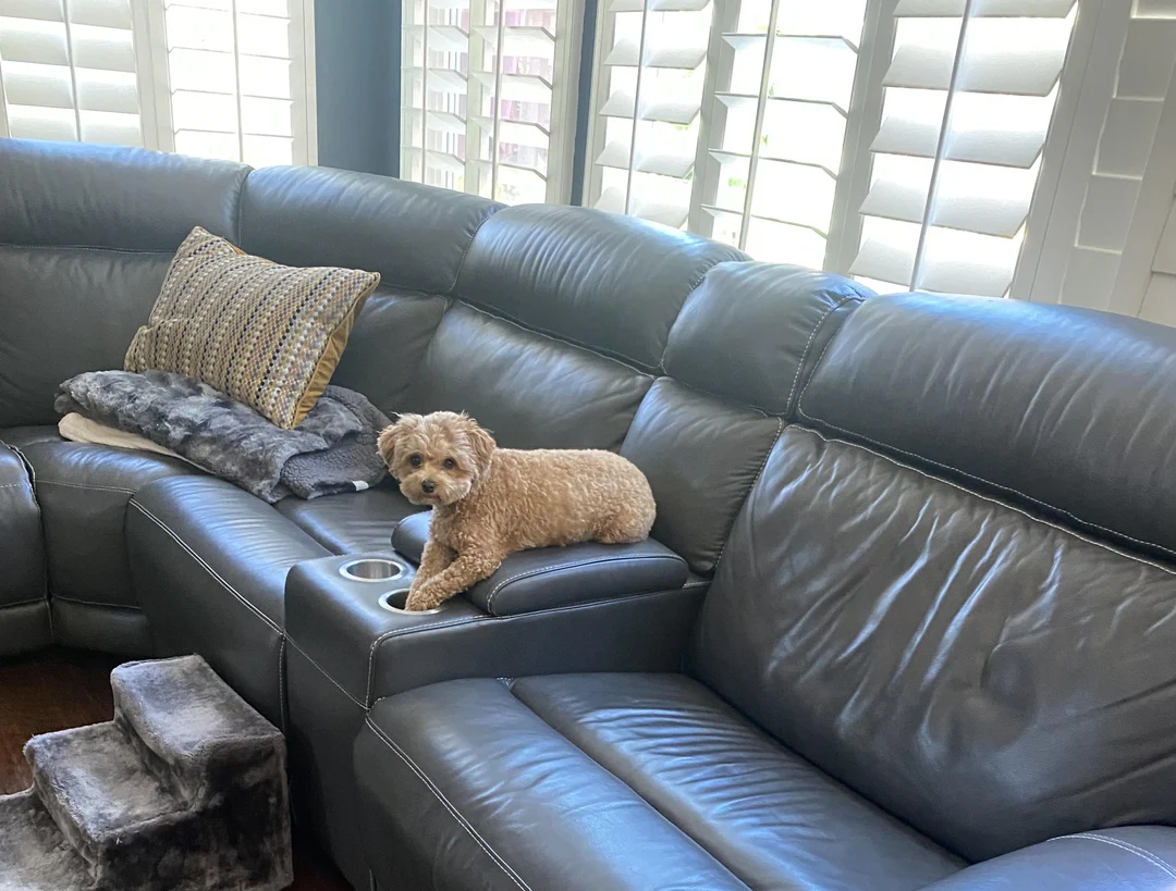 Cup holders? No, paw chillers. | Scrolller