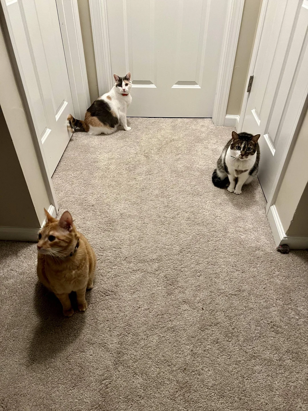 Tight 360 security. | Scrolller