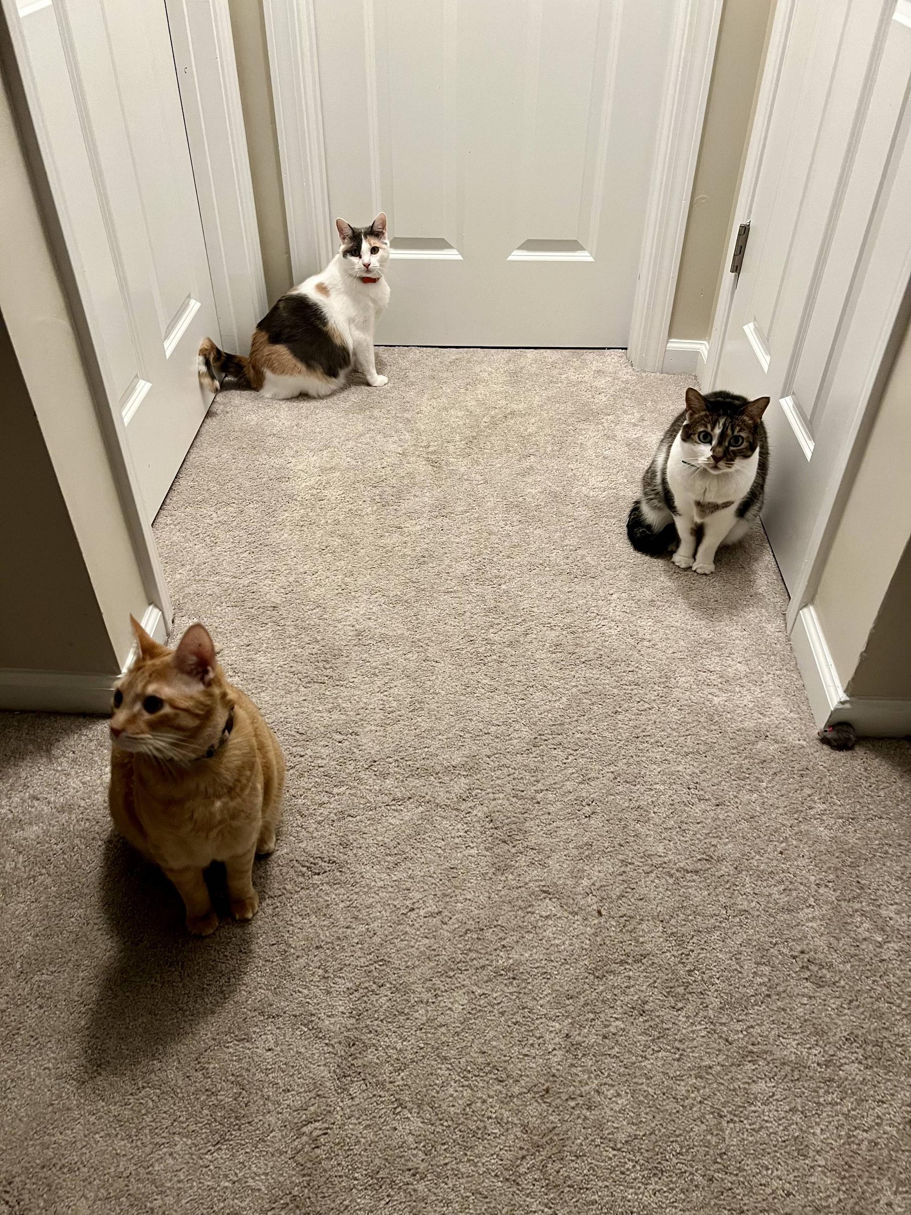 Tight 360 security. | Scrolller