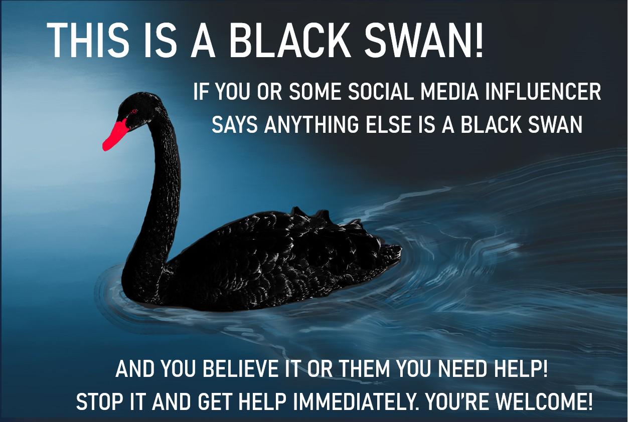 The Curse of the Black Swan | Scrolller