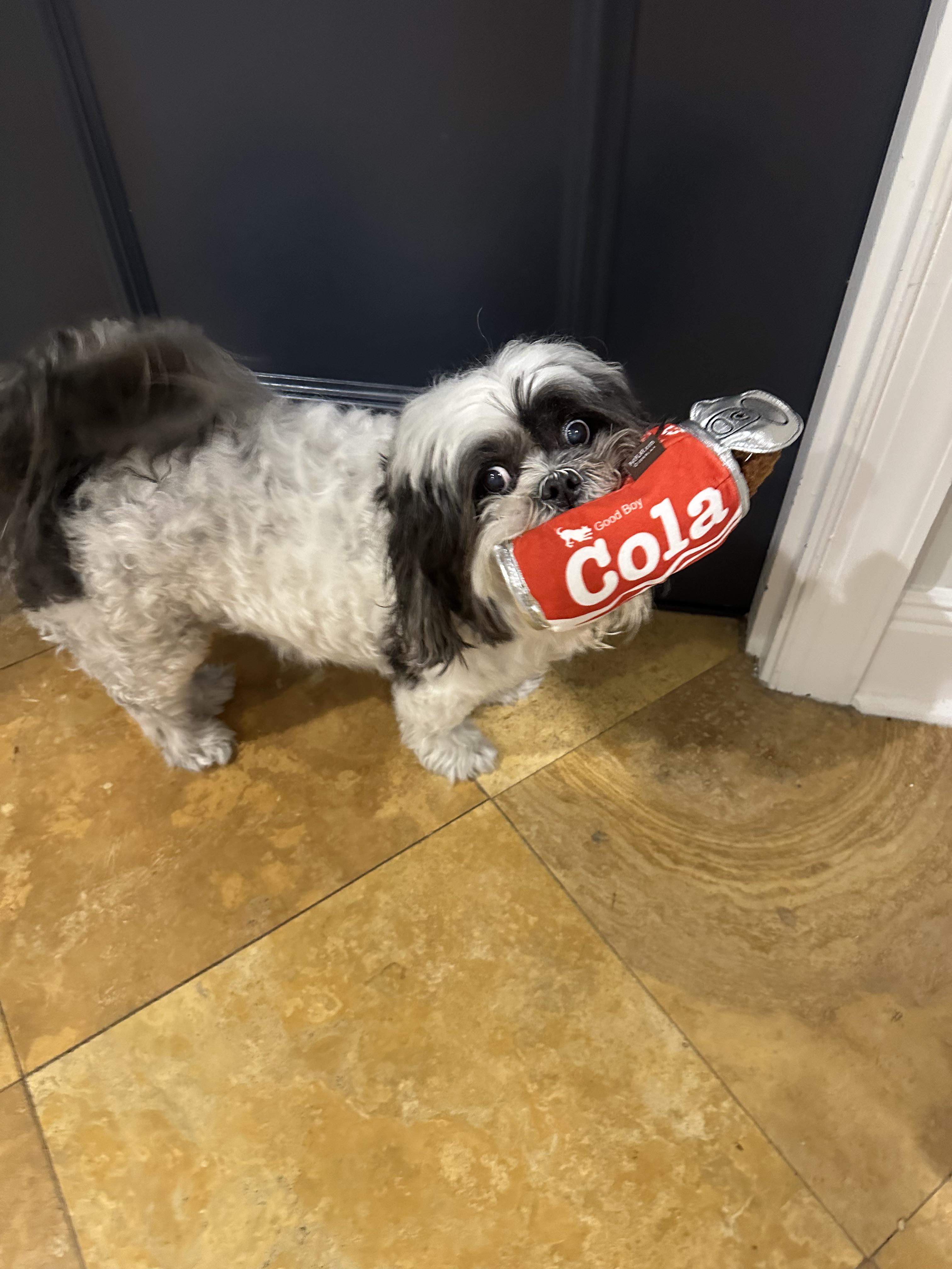 Always Coca-cola | Scrolller