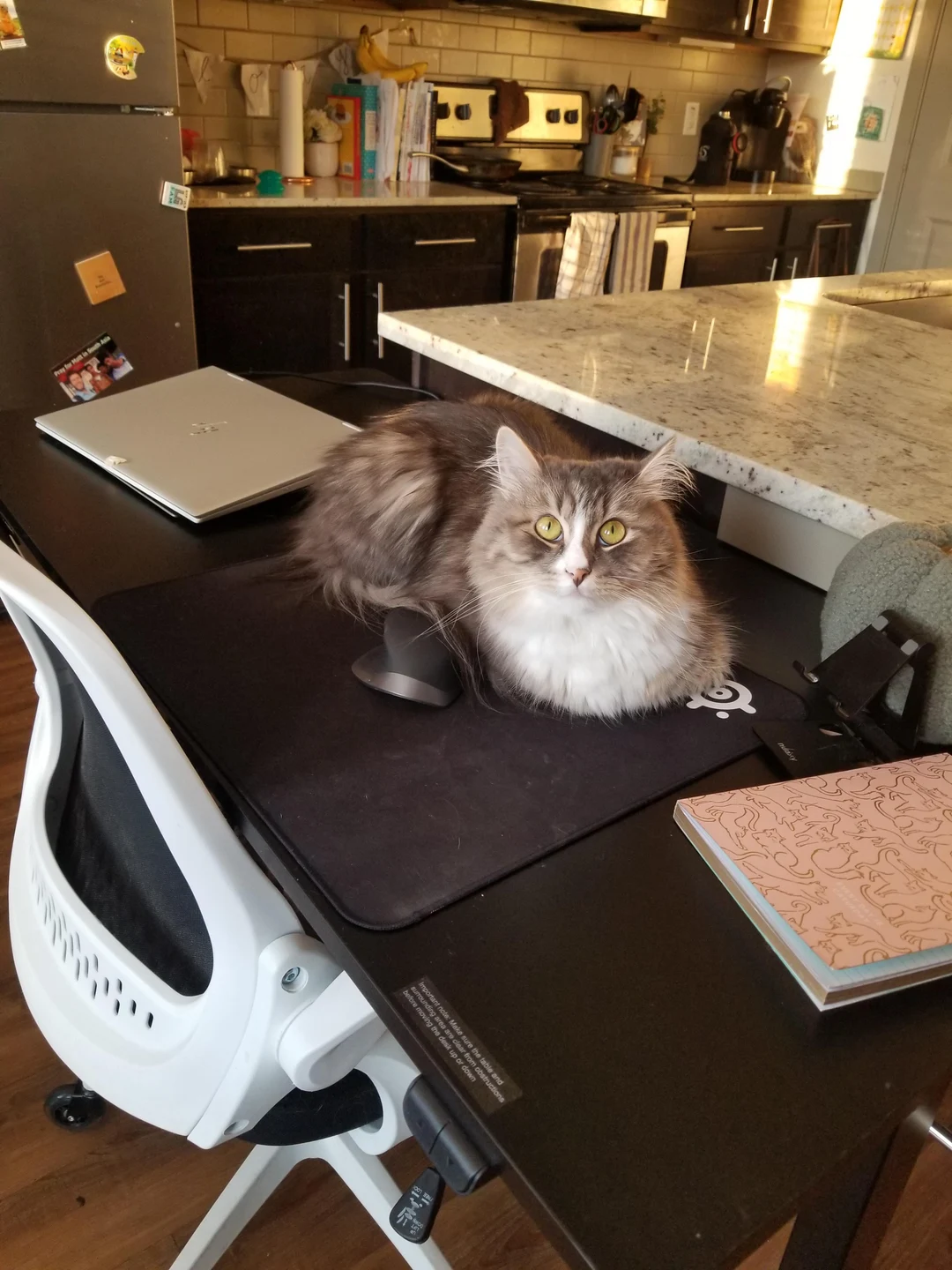 Desk loaf | Scrolller