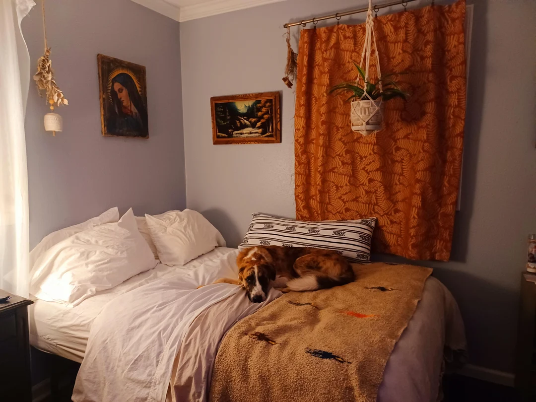 I washed my sheets | Scrolller