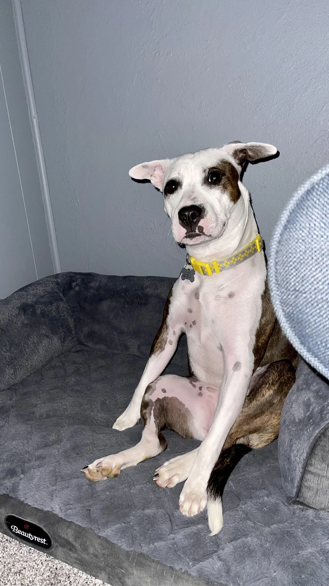 “Whatcha looking at?” | Scrolller