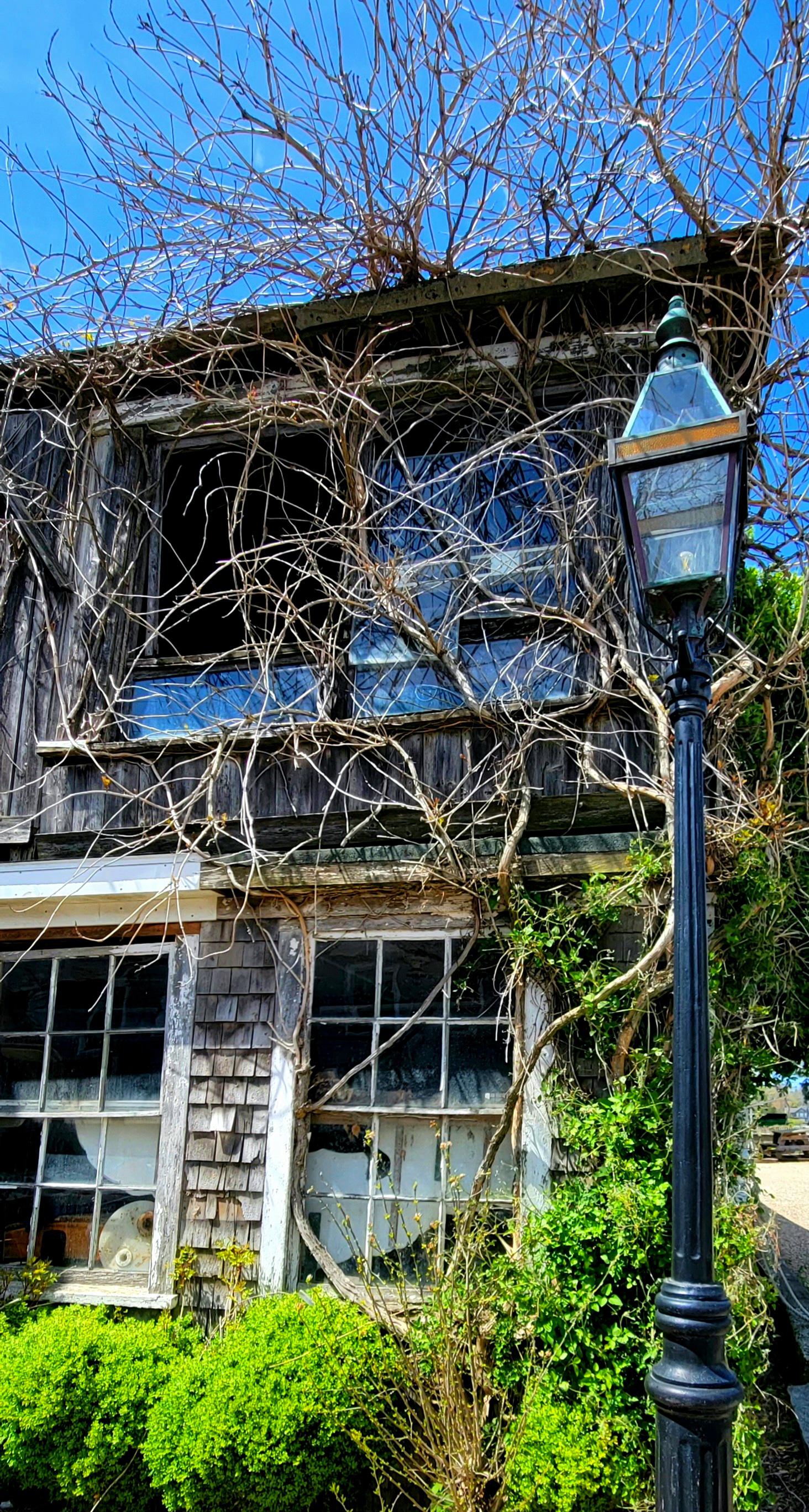 Vineyard Haven, MA | Scrolller