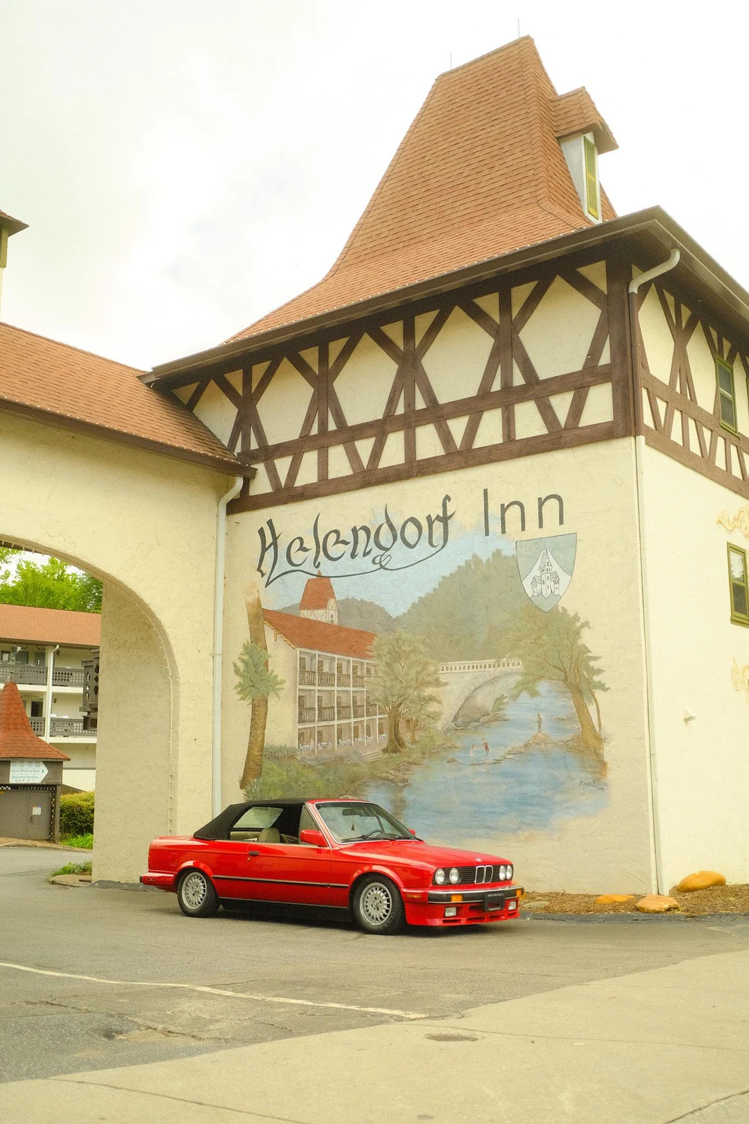 Timeless | Scrolller