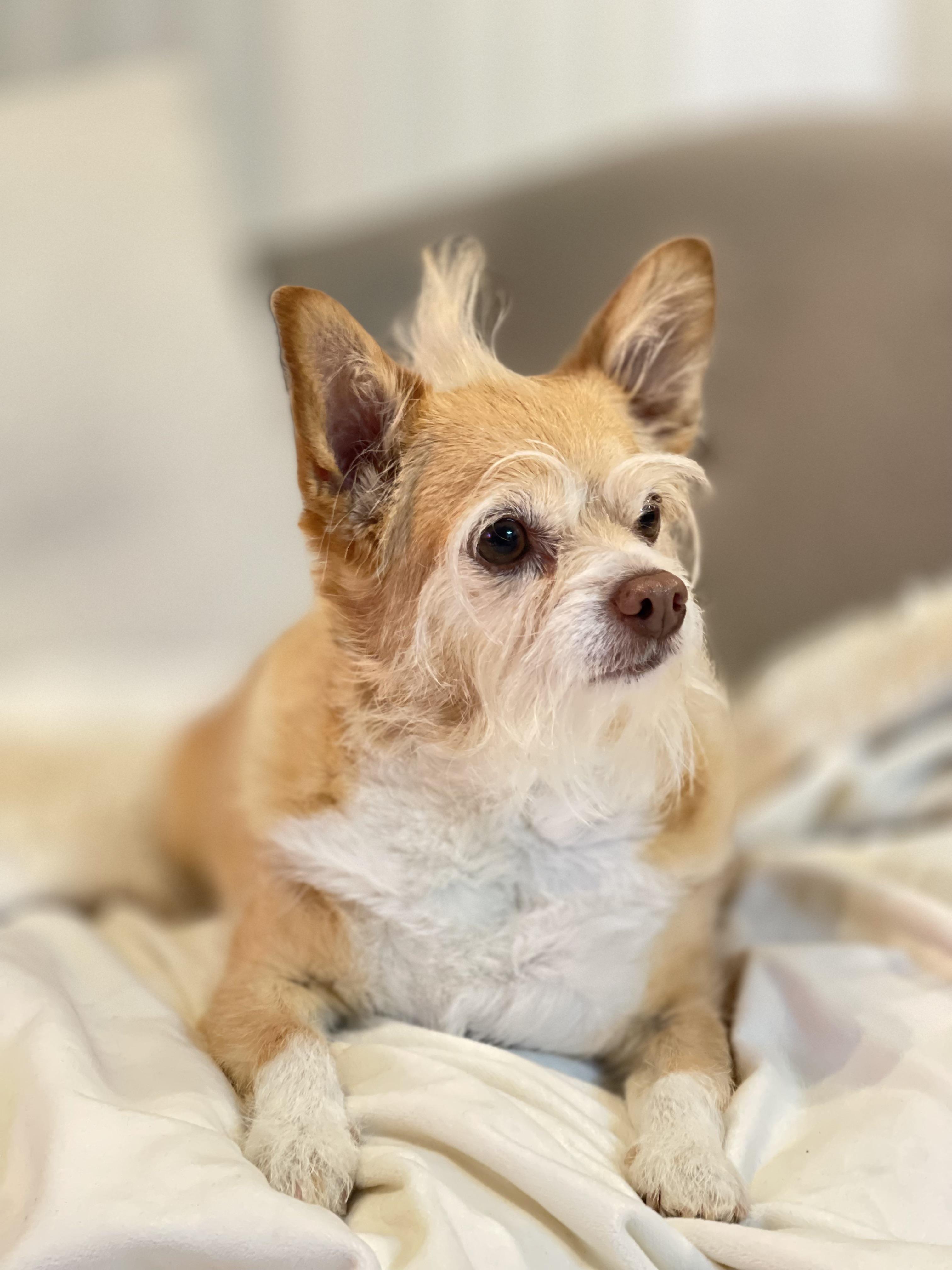 [OC] People tell me he looks wise | Scrolller