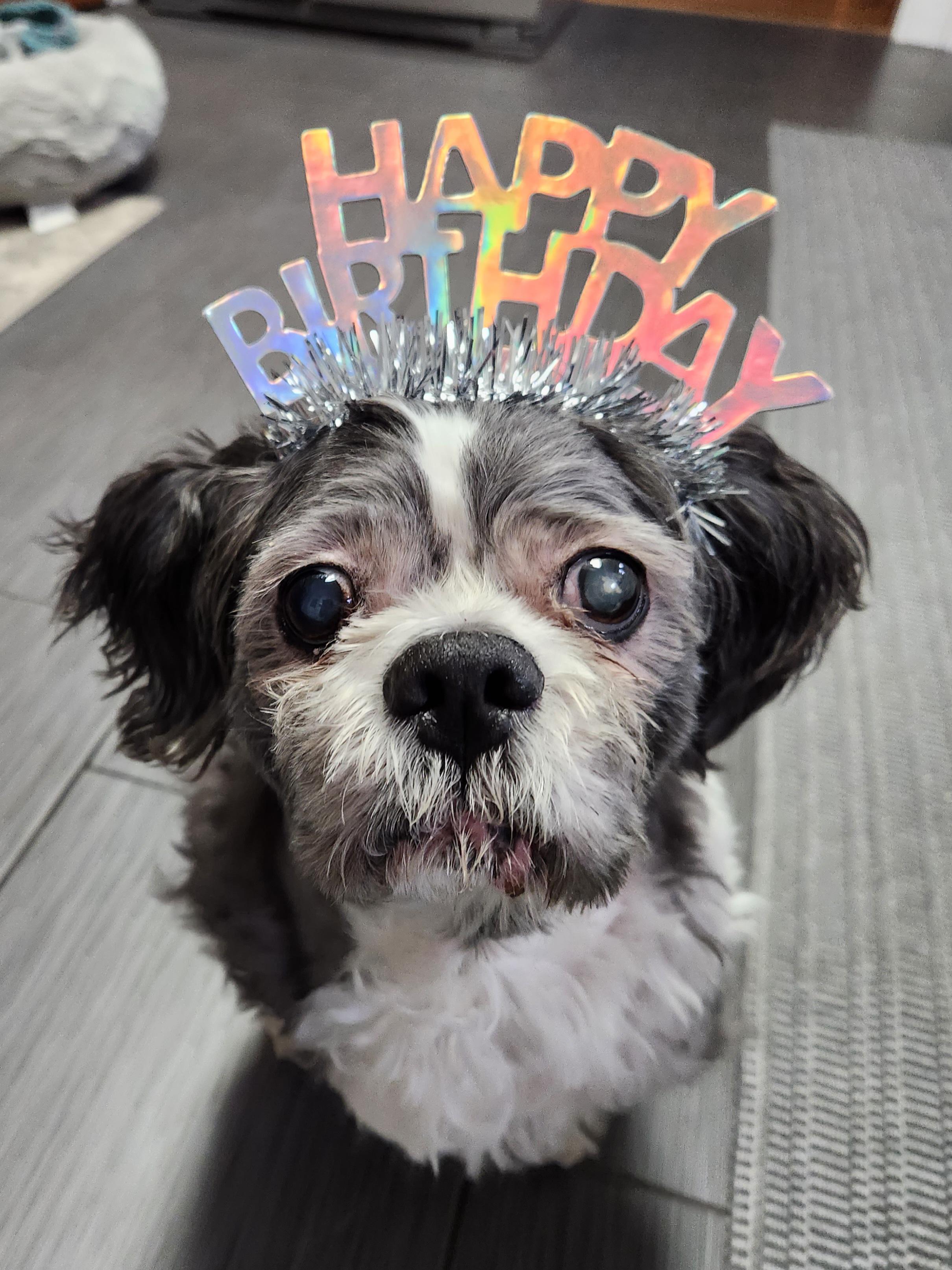 Sweet 16 | Scrolller