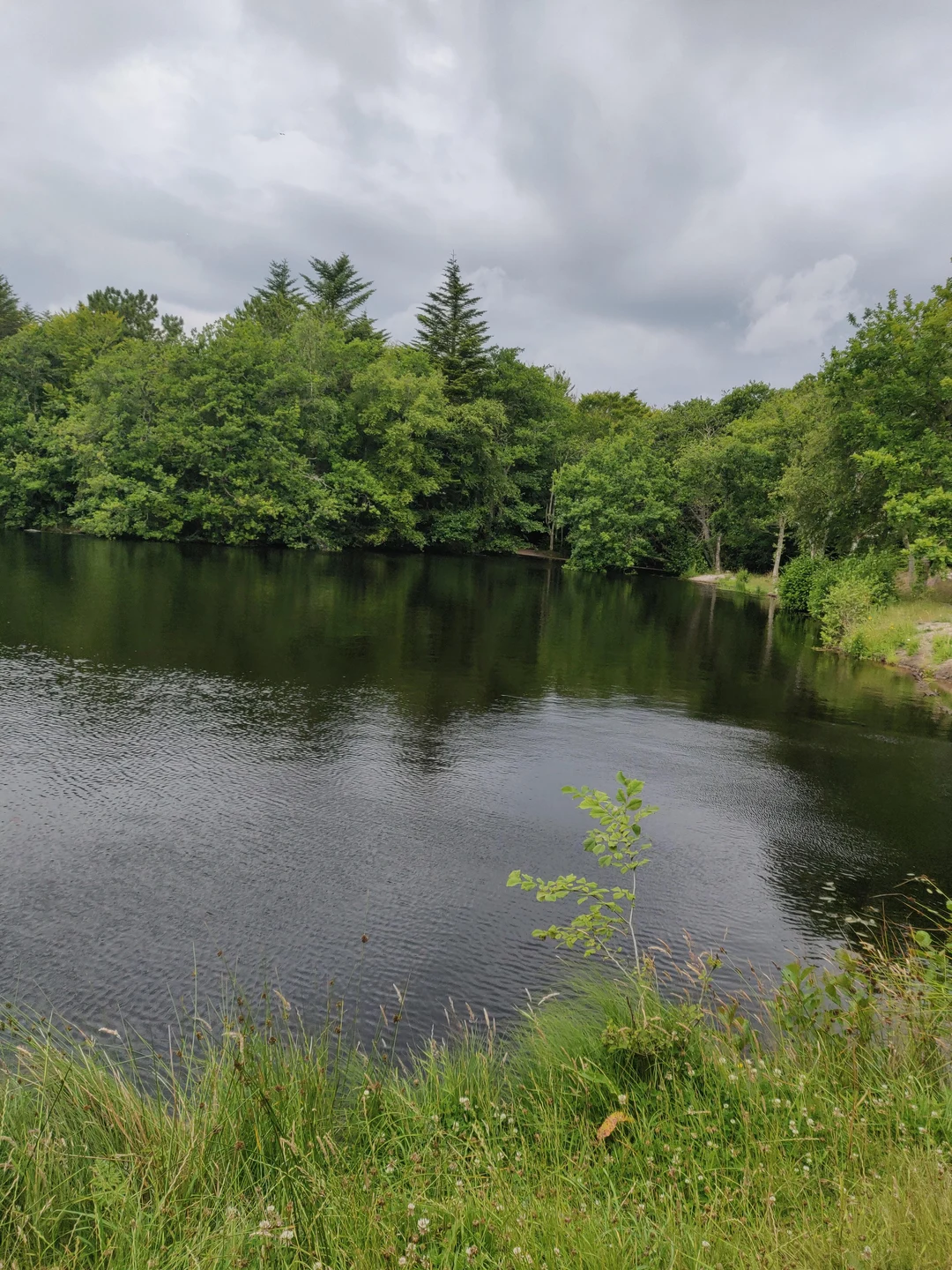 One of the lakes between Tversted and the beach, Northern Jutland ...