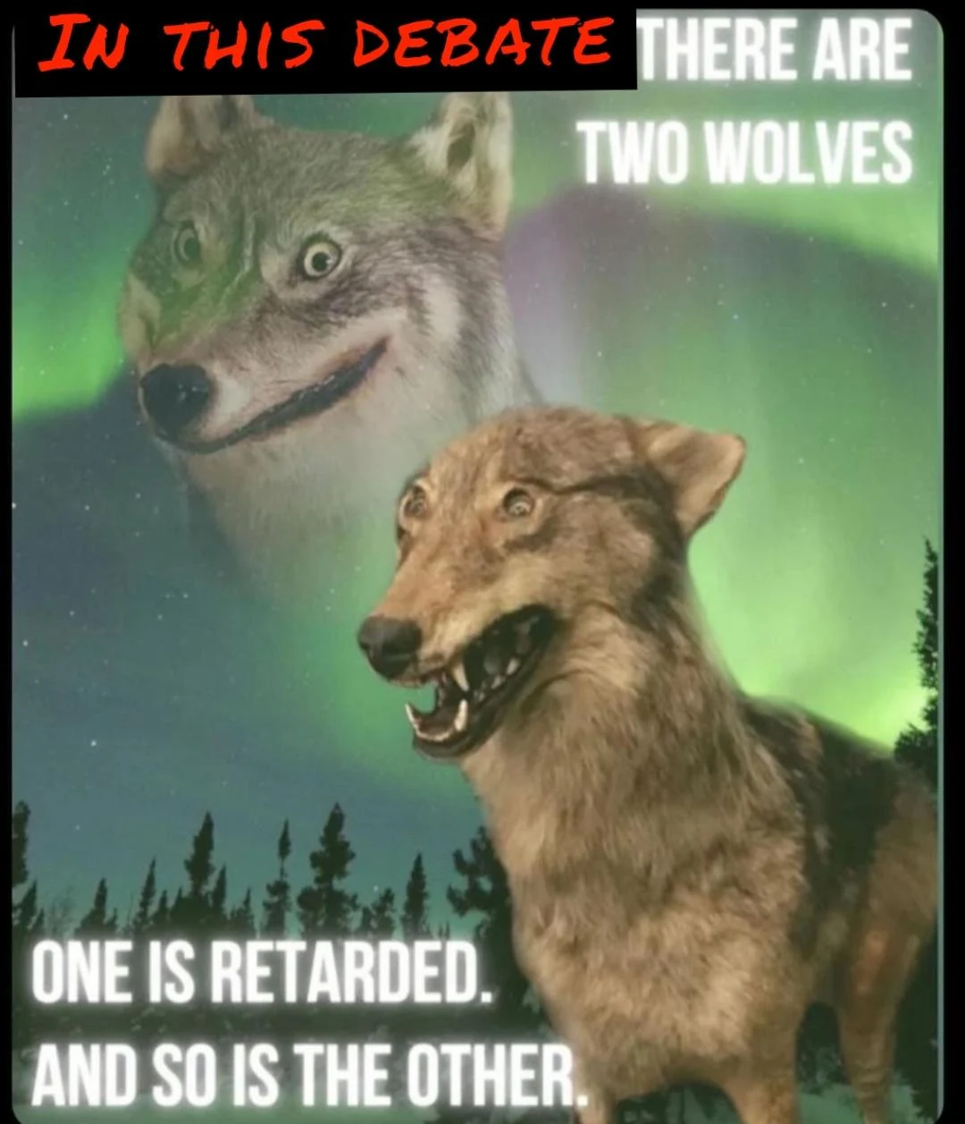 Insert meme here | Scrolller