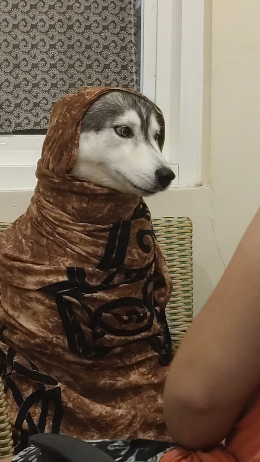 just one of my brother shenanigans | Scrolller