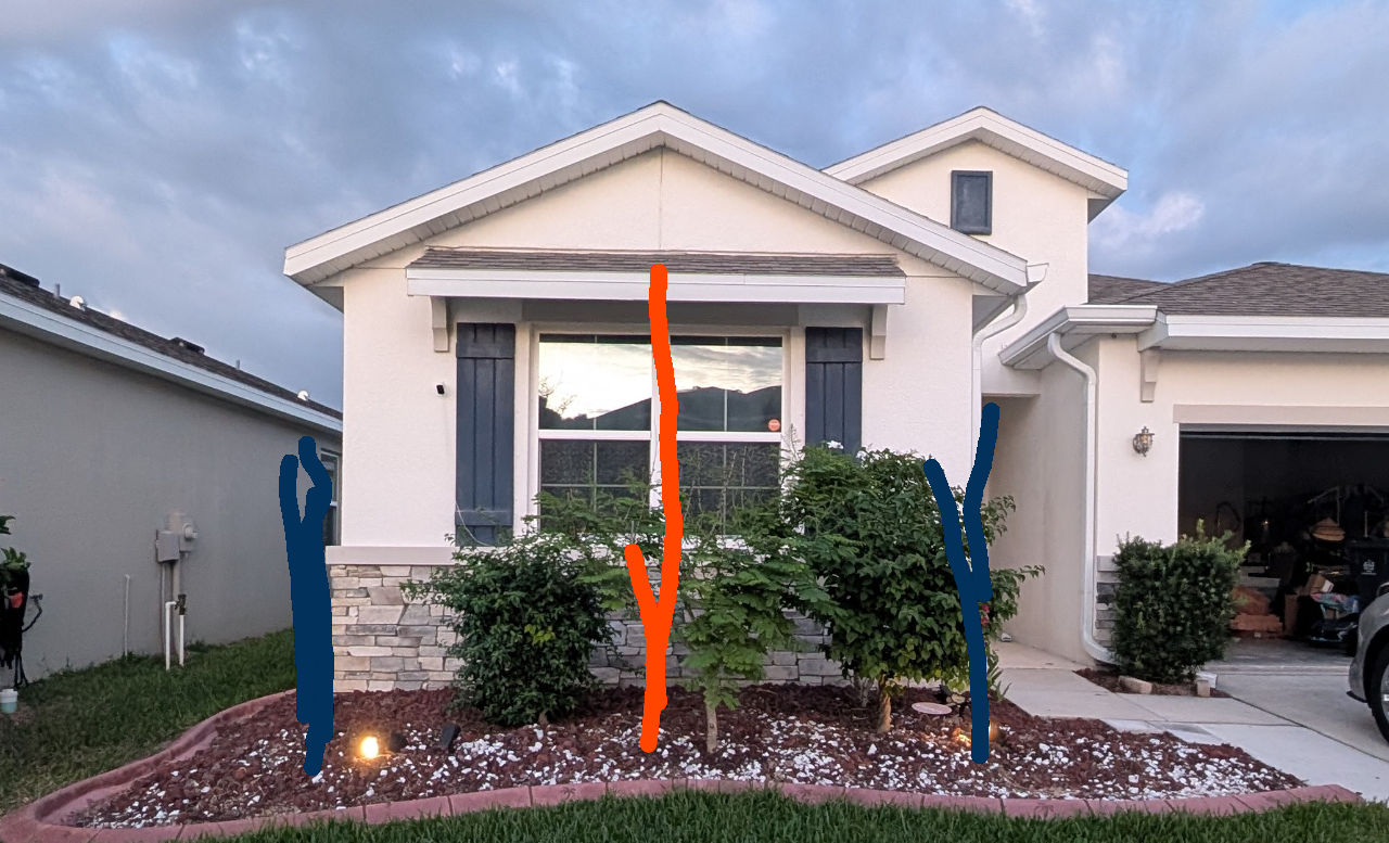 Can I add palm trees here? | Scrolller