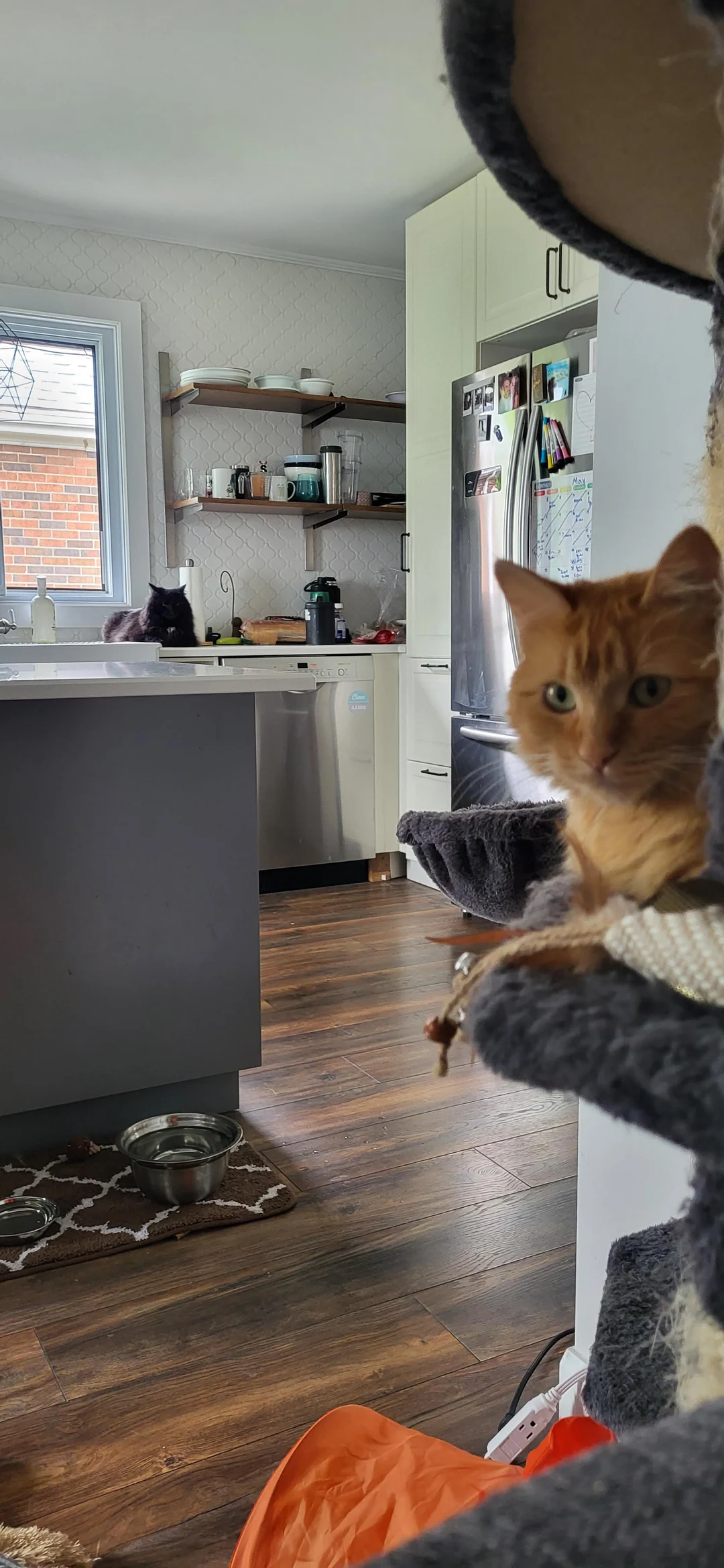 Double Loaf | Scrolller