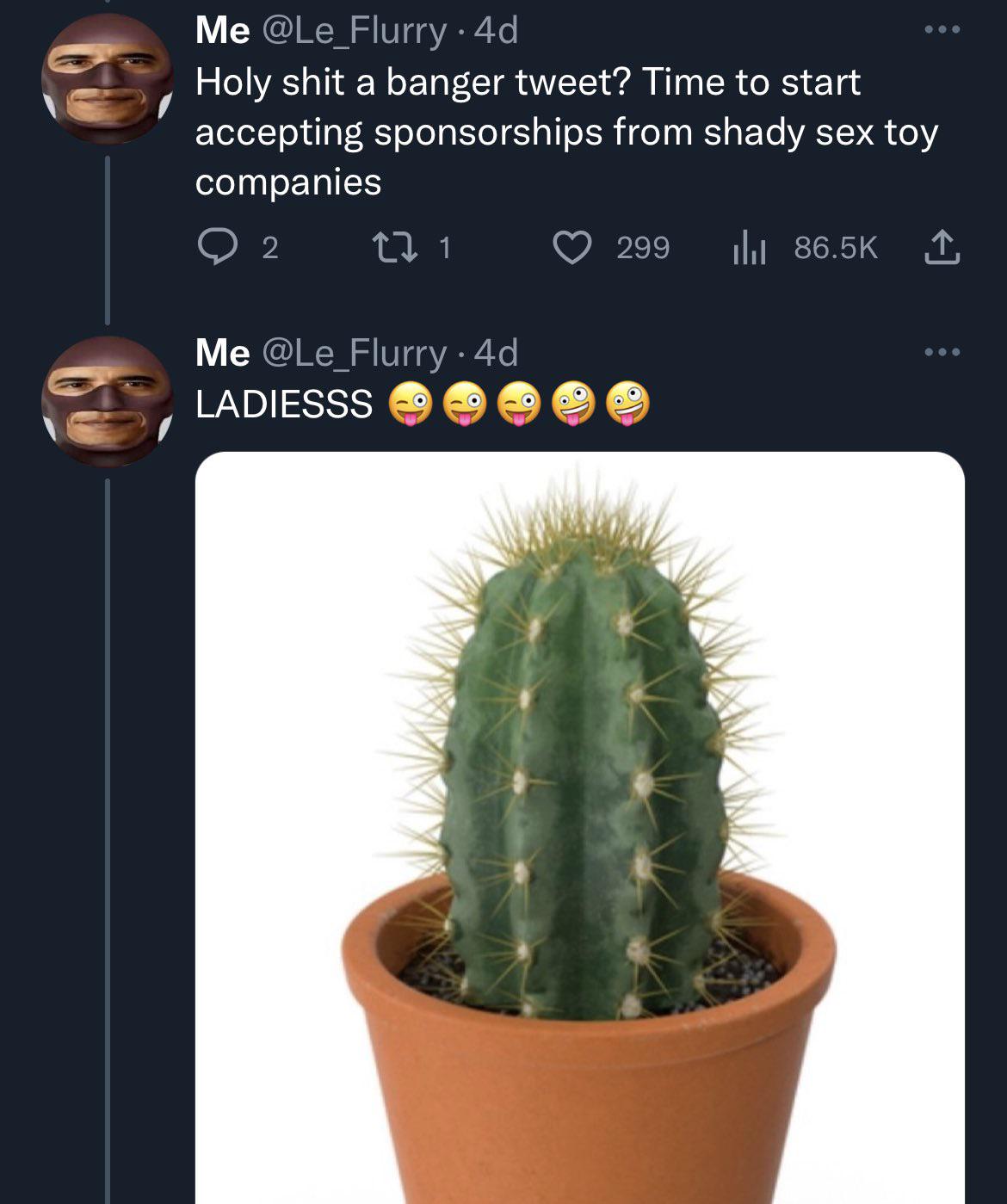 Cursed_ladies | Scrolller