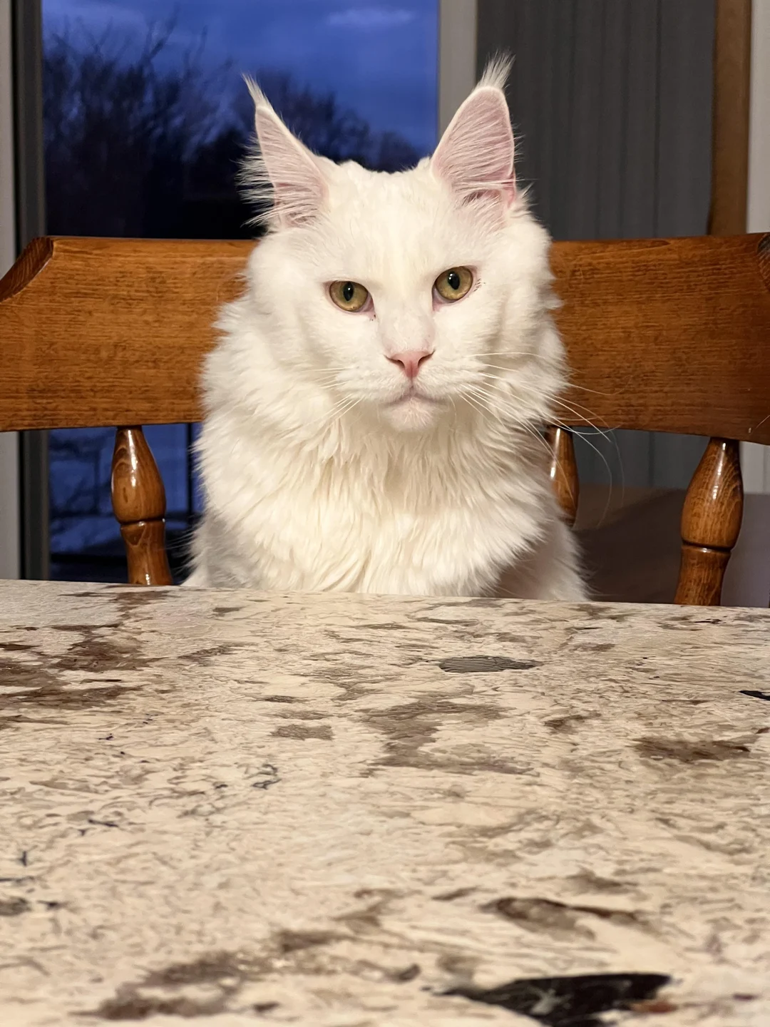 We need to talk. | Scrolller