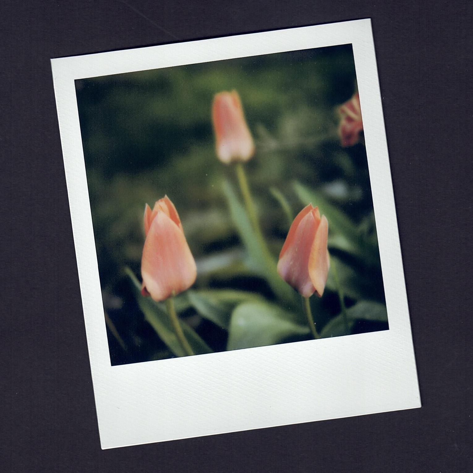 Summer is coming | Scrolller