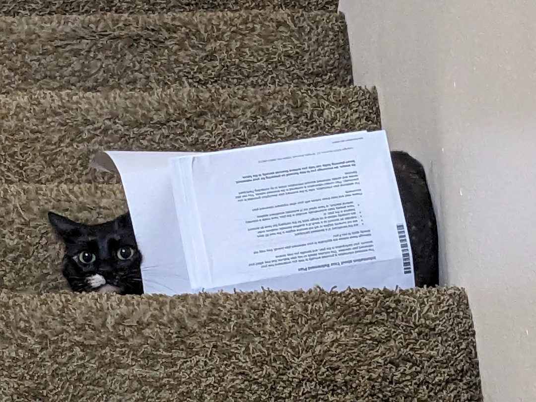 Stealth Smudge | Scrolller