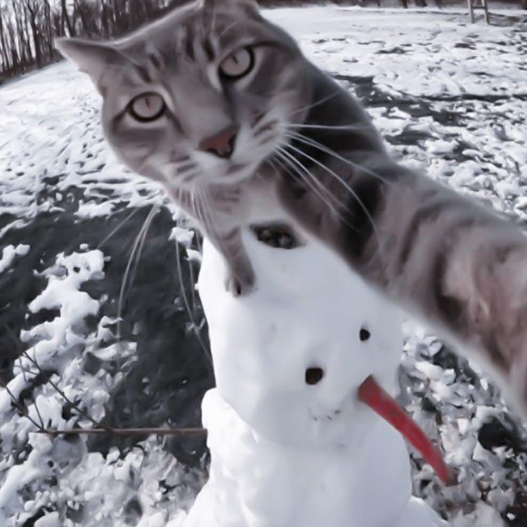 mf made his own snowman | Scrolller