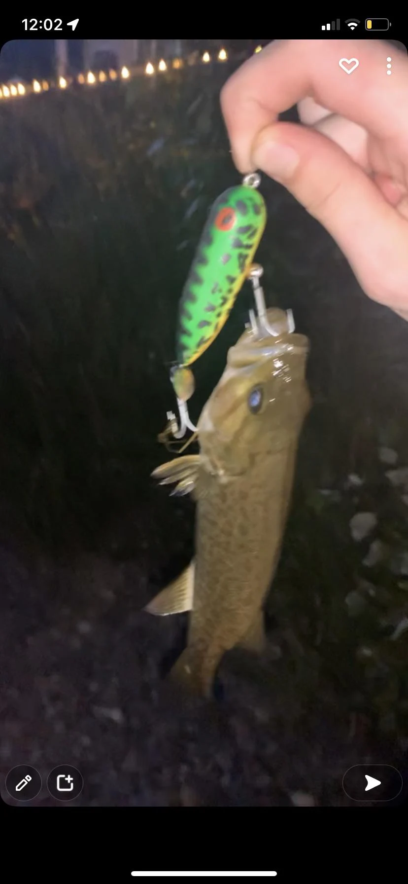 Does anyone know where I can get this lure I’ve had a lot of luck with it | Scrolller