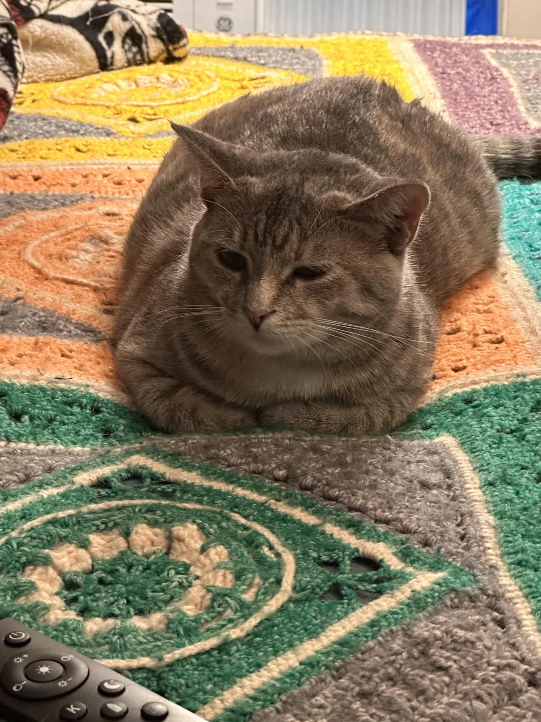 Loaf Evaluation | Scrolller