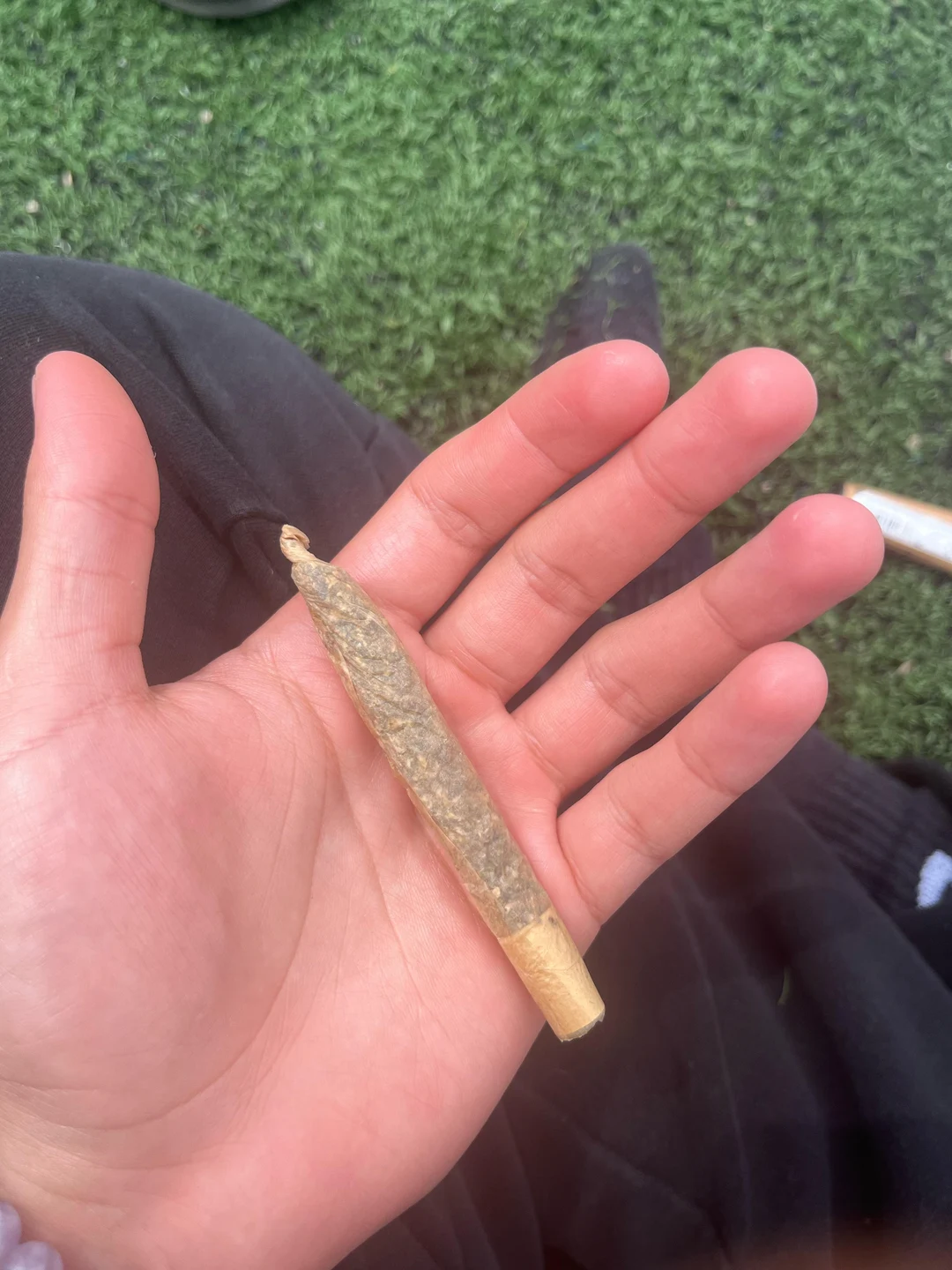 Discover more like Trees: First time rolling and Related Content | Scrolller