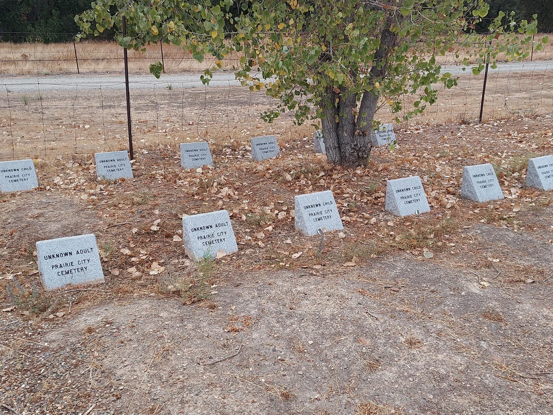 Relocation Cemetery | Scrolller