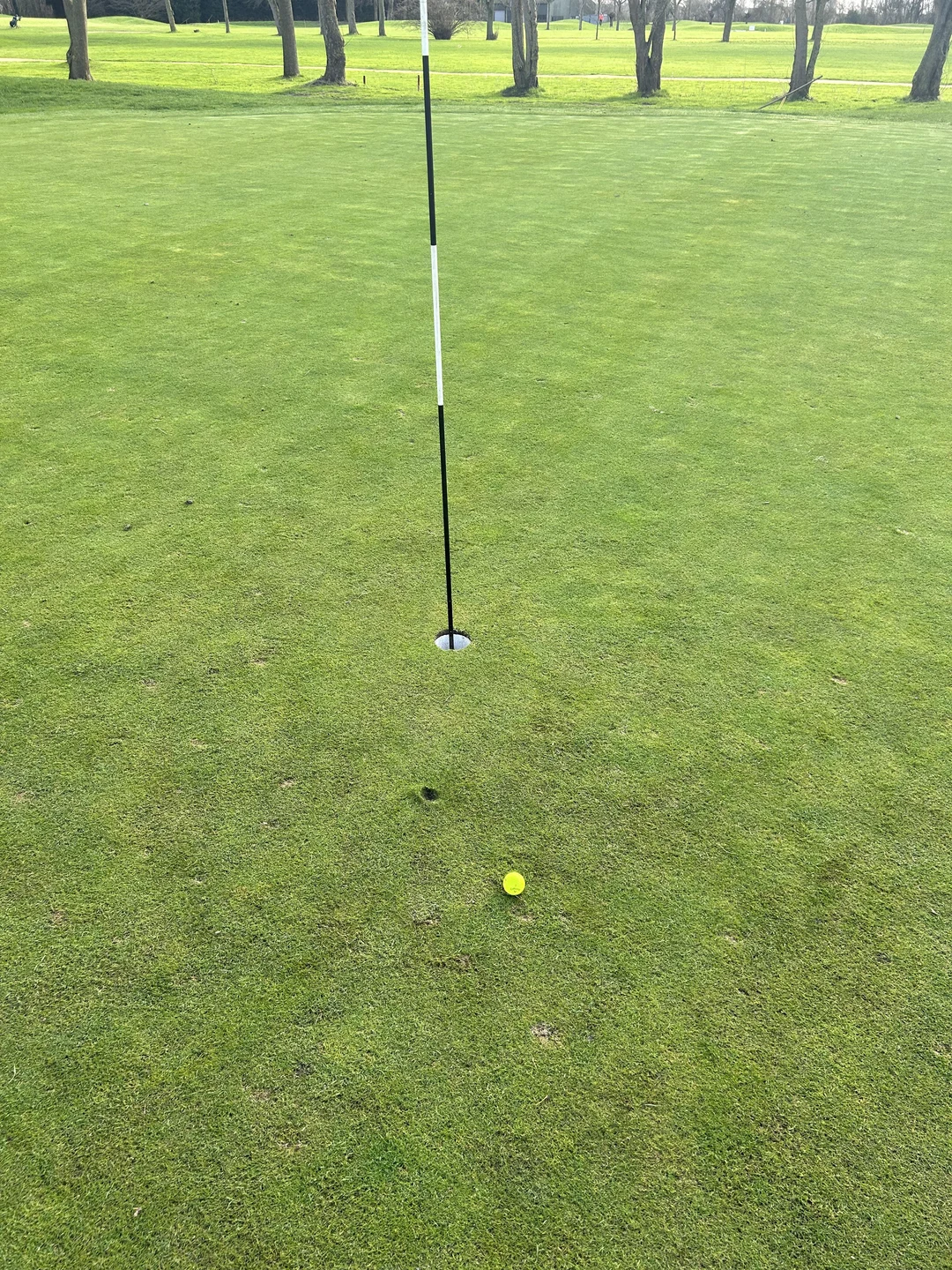 Best round not counting | Scrolller