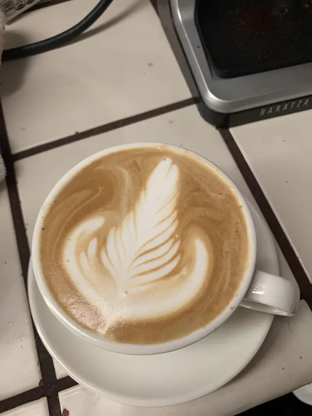 My first decent rosetta! | Scrolller