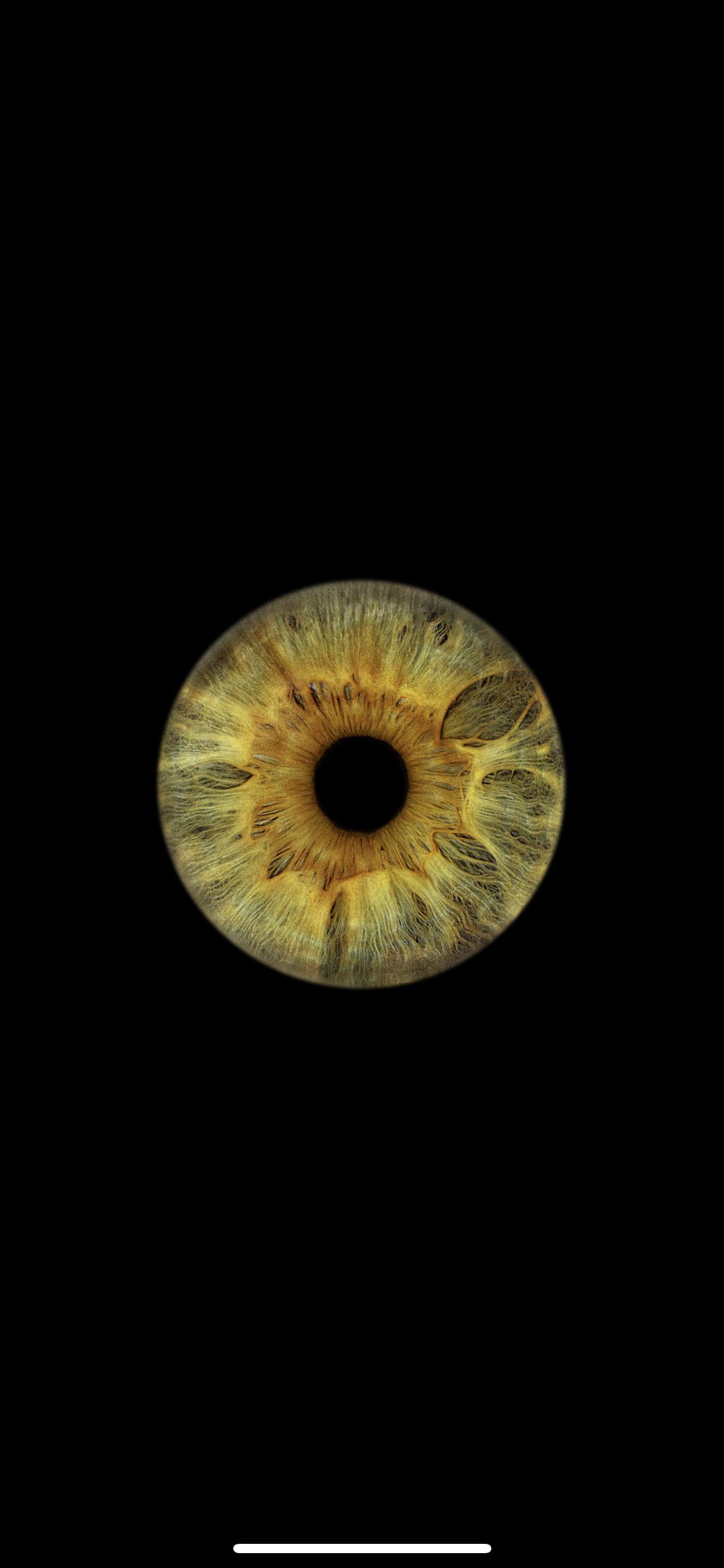 Is the color of my eye(s) hazel? | Scrolller