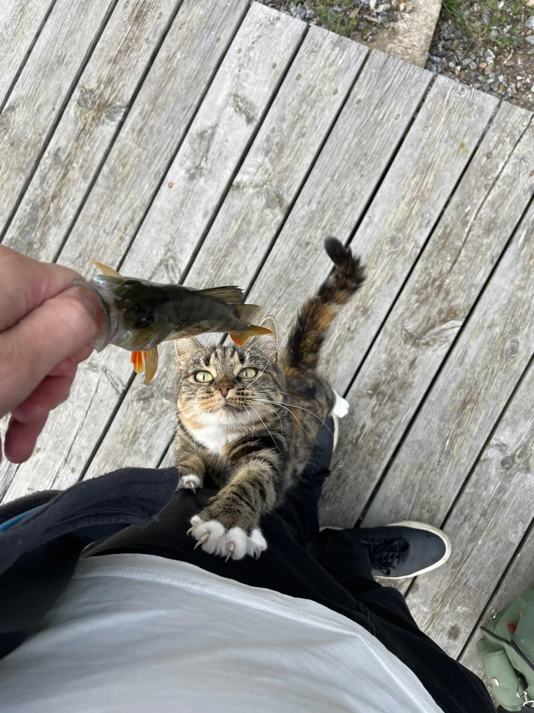 Fishing can be dangerous | Scrolller