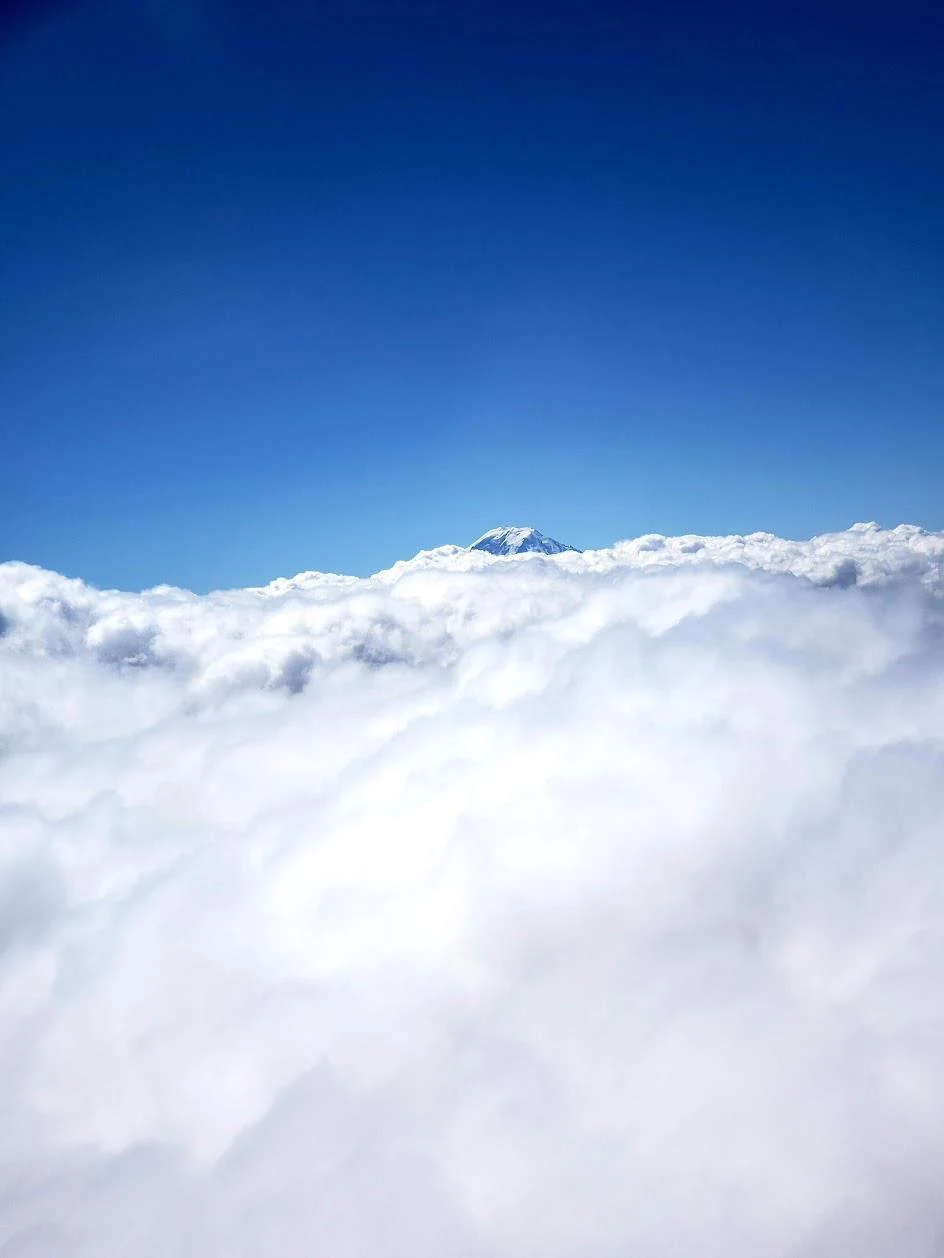 Mt. Rainier On a Sea of Clouds, WA, USA [OC] | Scrolller