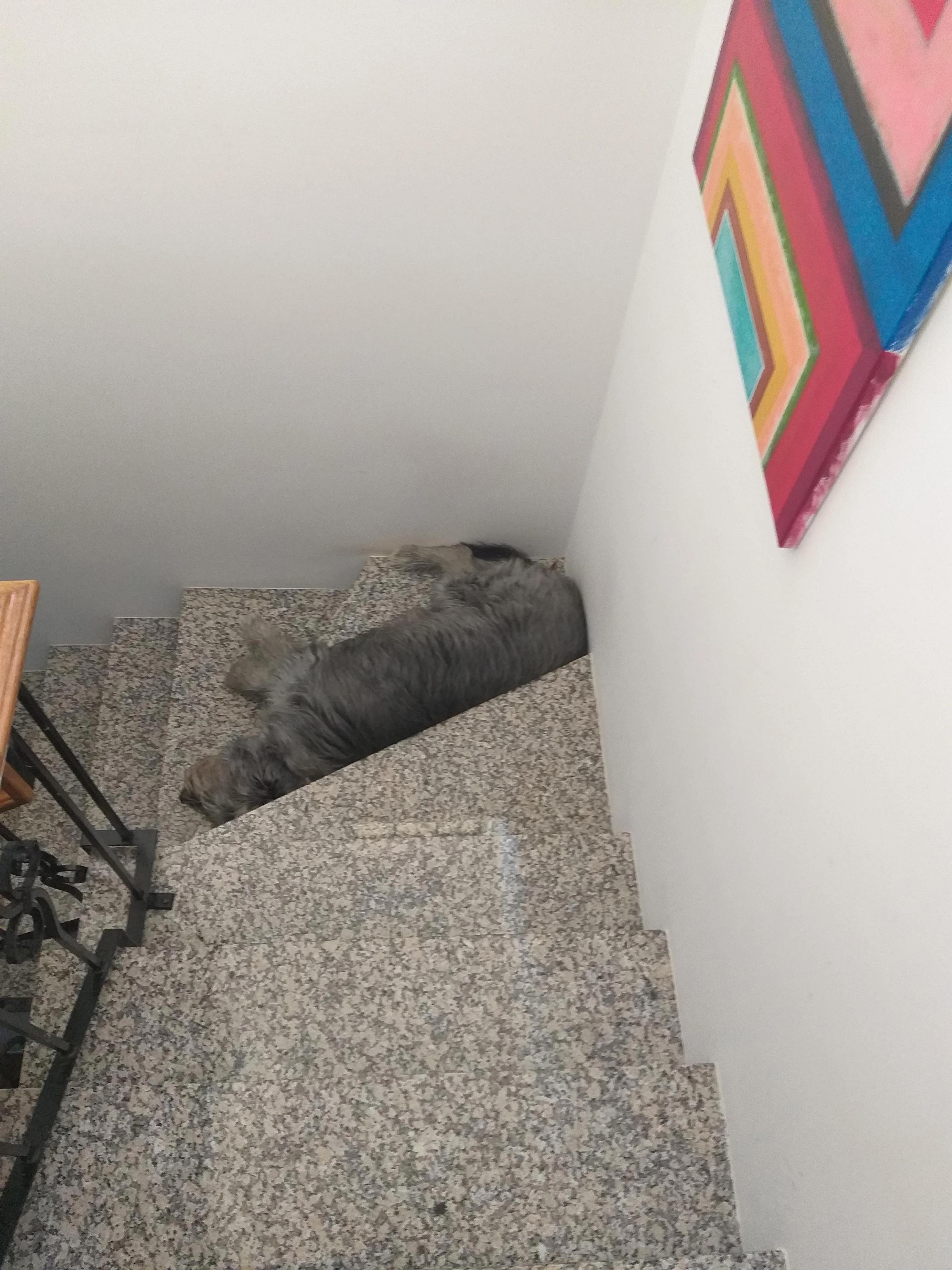 Her napping spot, at night its even more hazardous | Scrolller