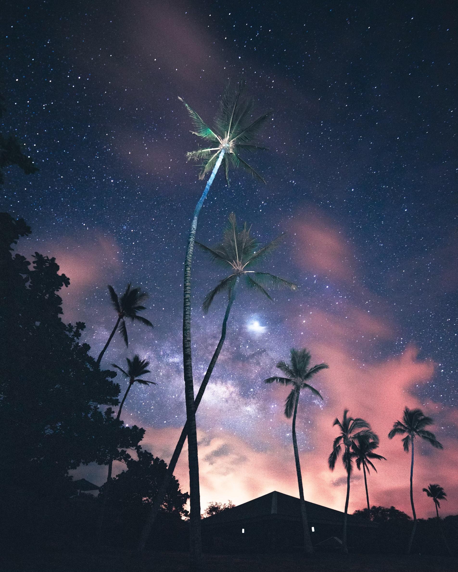 Clouds Drifting Between Milky Way and Crossed Palms | Scrolller