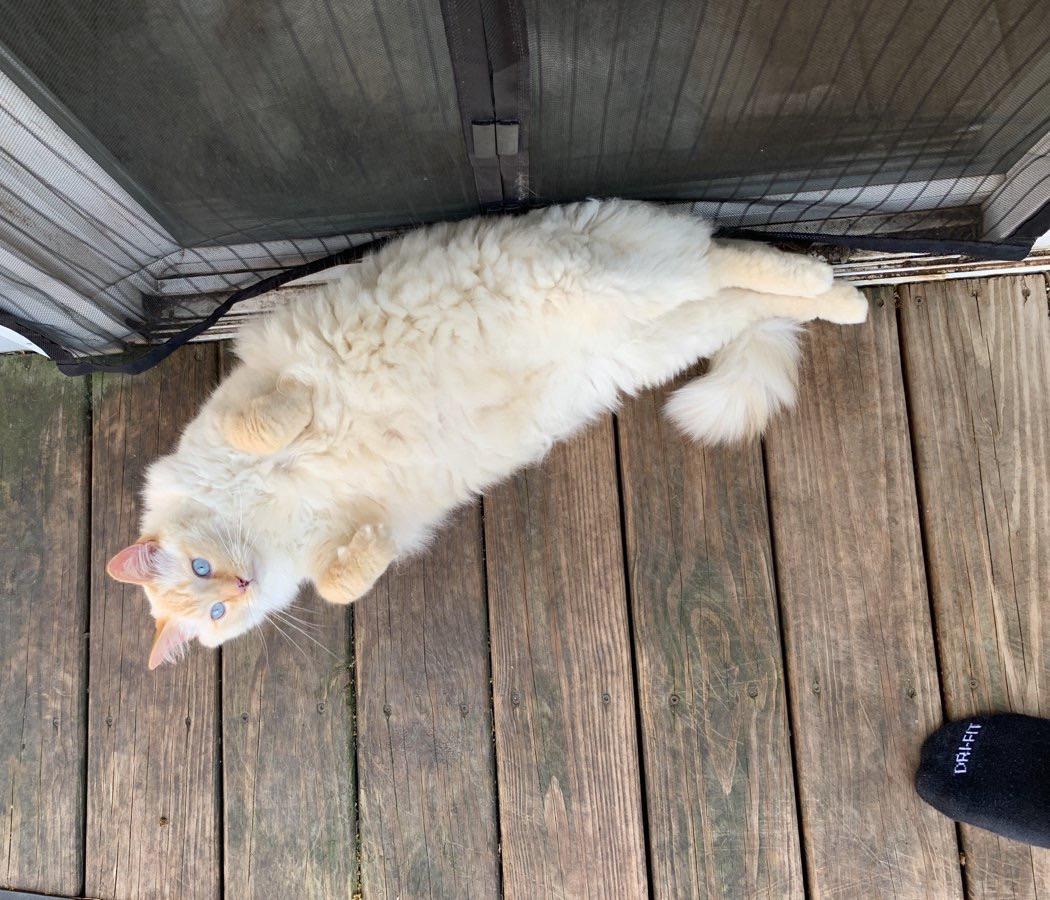 Good morning all. Turd Maker being derpy | Scrolller