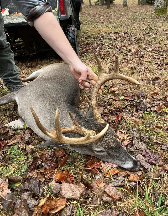 Western North Carolina Buck | Scrolller
