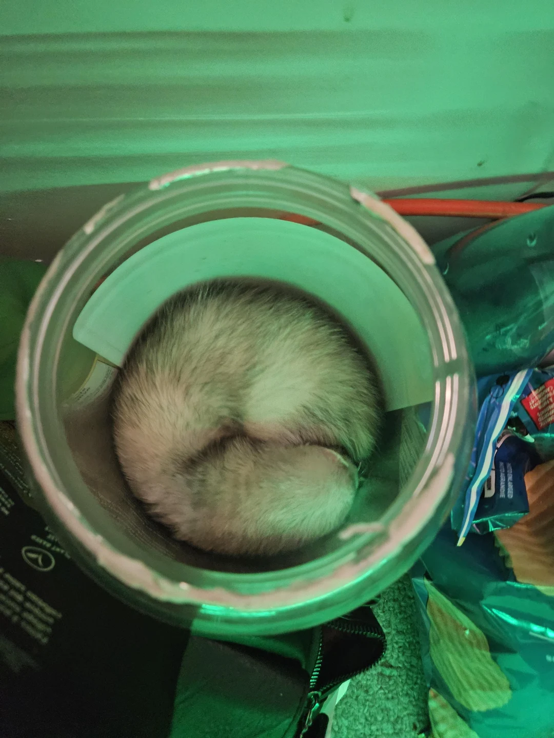 Almost had a Heart Attack | Scrolller