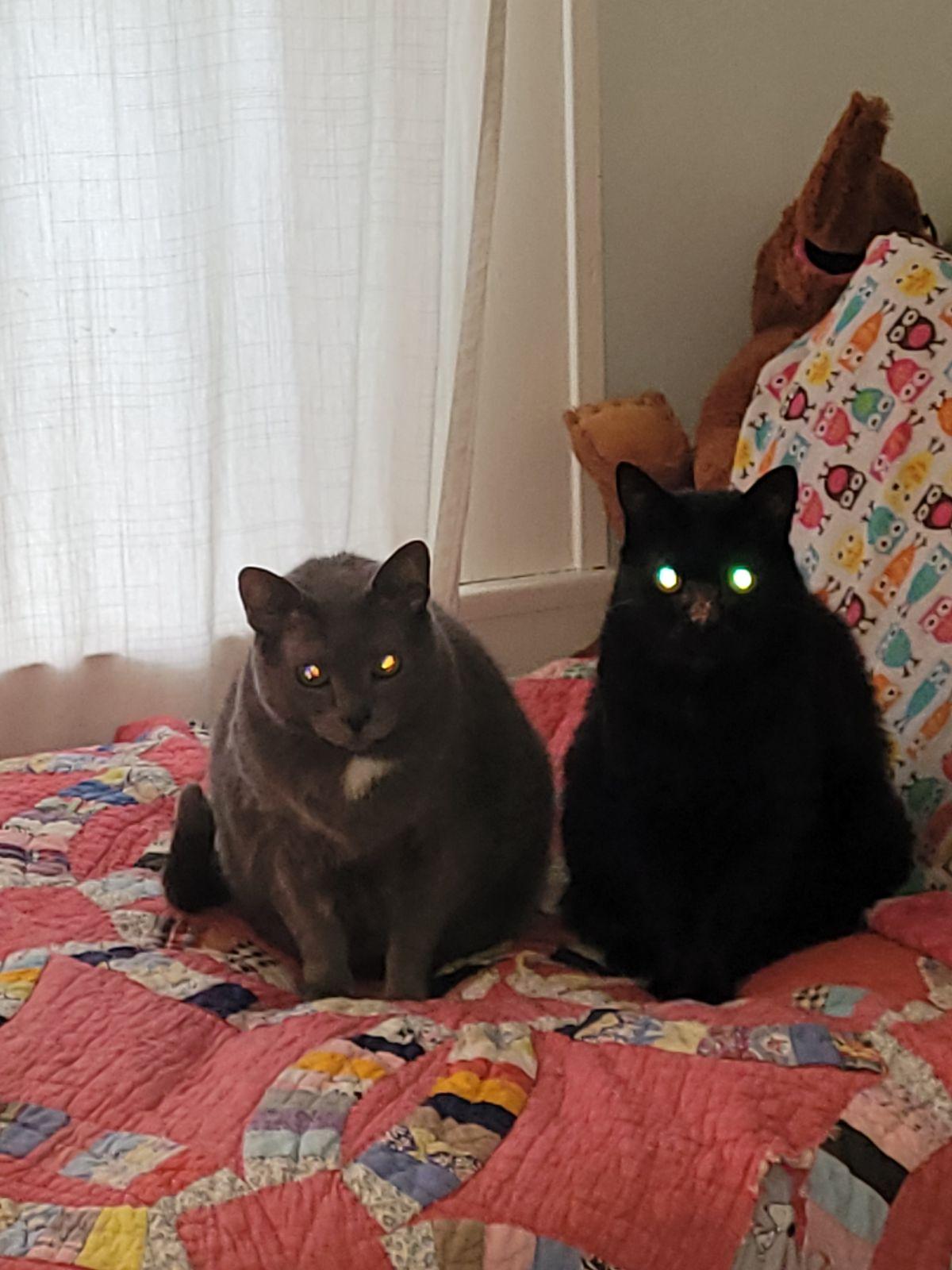 My two - decided to turn on the flash, with predictable results | Scrolller