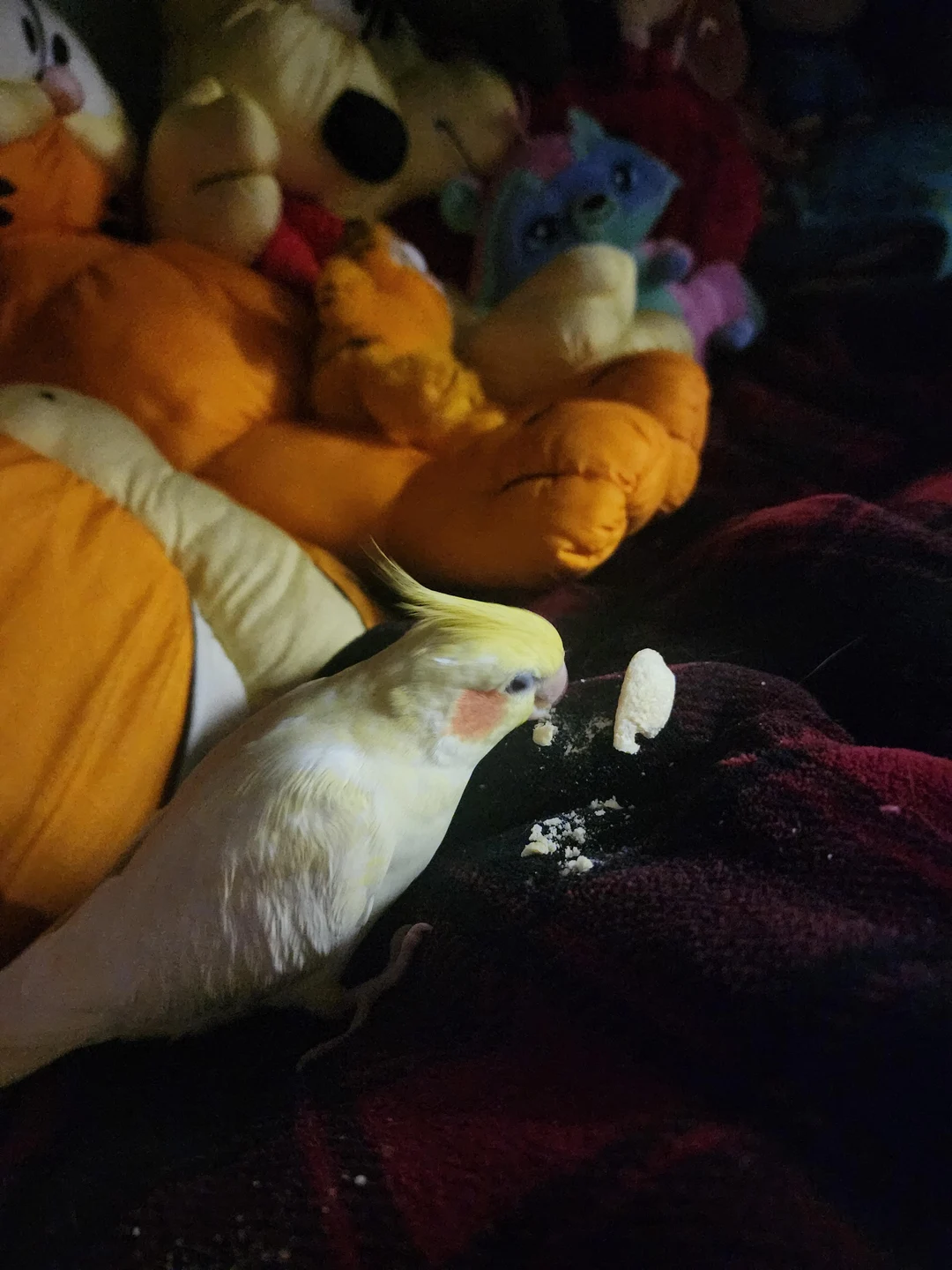 OPERATION FREEZE DRIED MANGO IS A SUCCESS | Scrolller