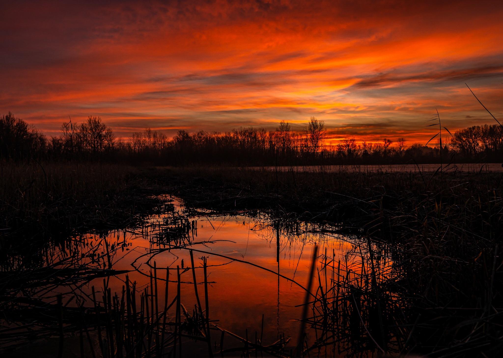 Sunset and reflection on puddle in southern Michigan | Scrolller