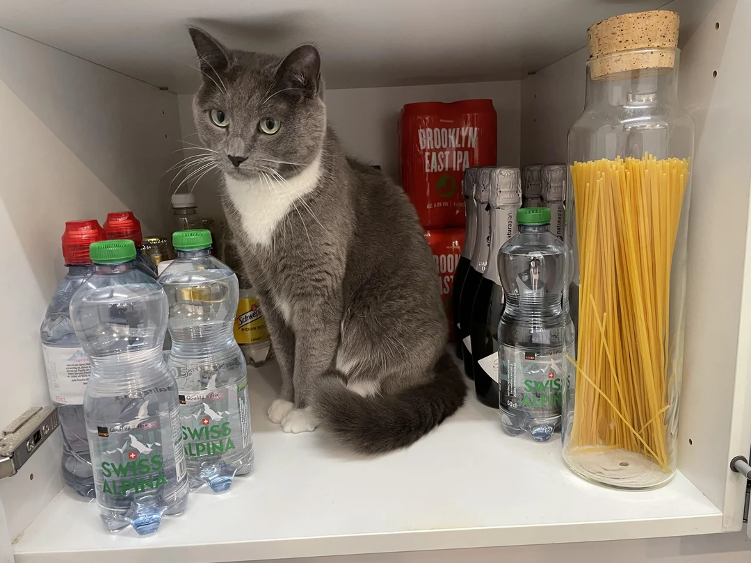 When I open the pantry. Every. Time.. | Scrolller