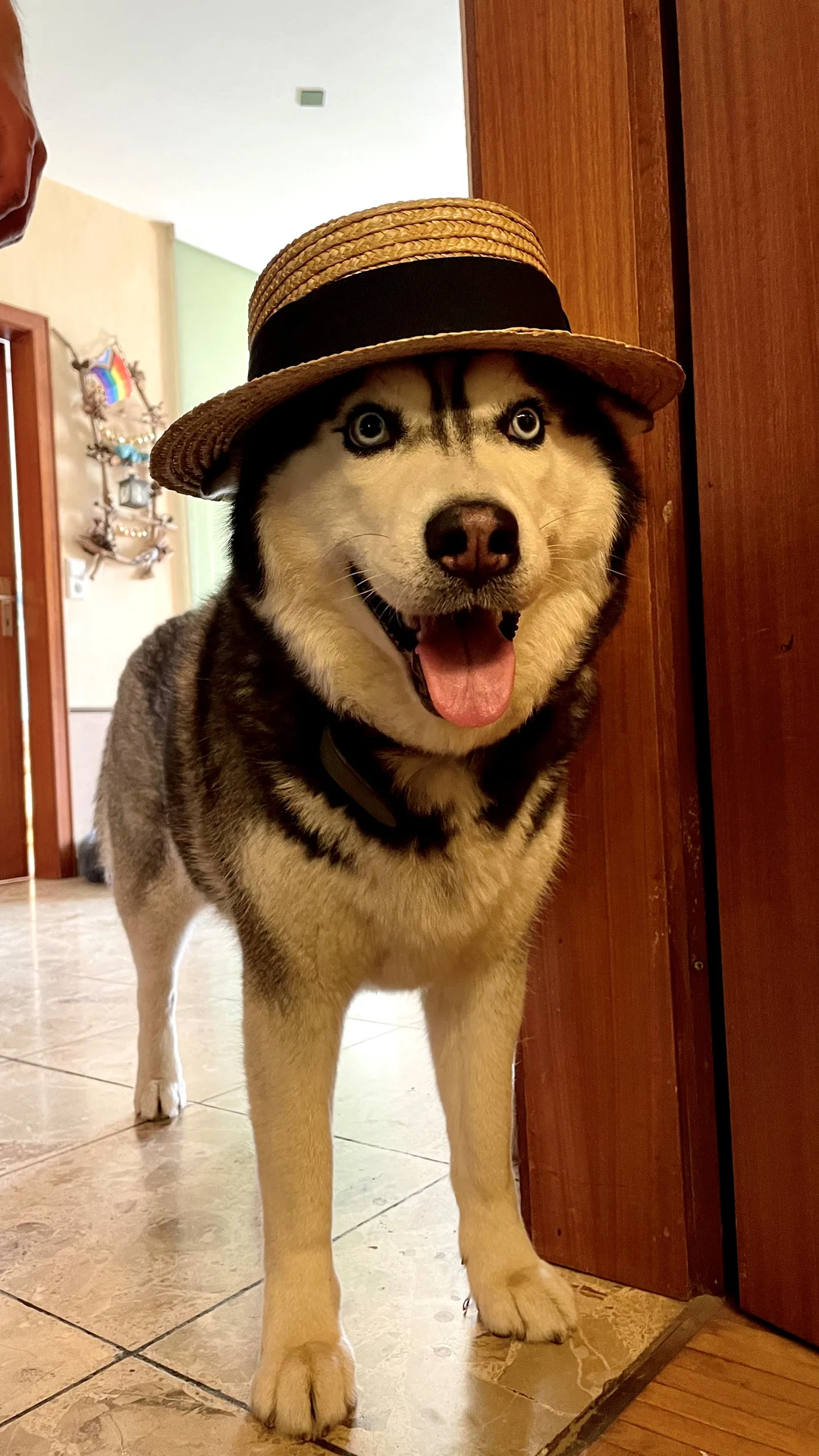 Look at this distinguished lady | Scrolller