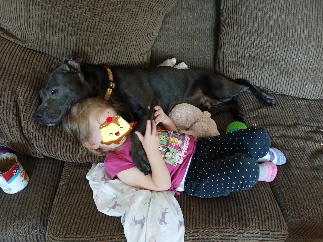 look at this vicious beastie who hopped up to snuggle her littlest human! | Scrolller