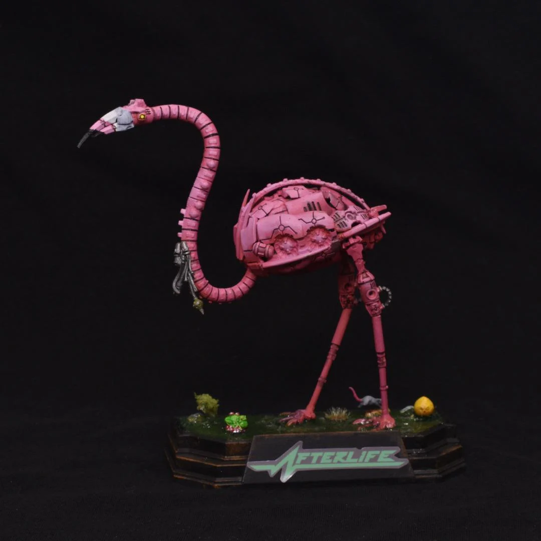 Razorback Flamingo | Scrolller