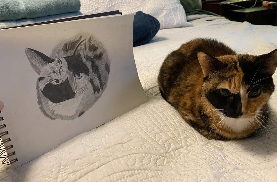 Drew my loaf | Scrolller