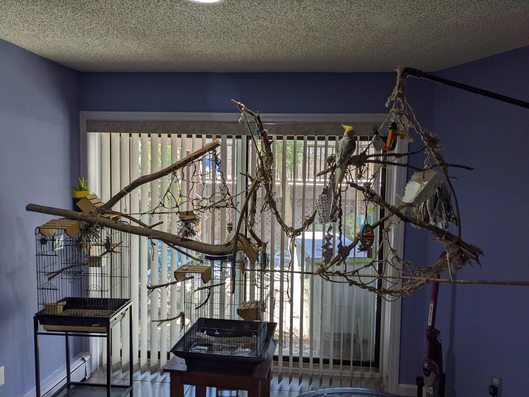 Updated setup. | Scrolller