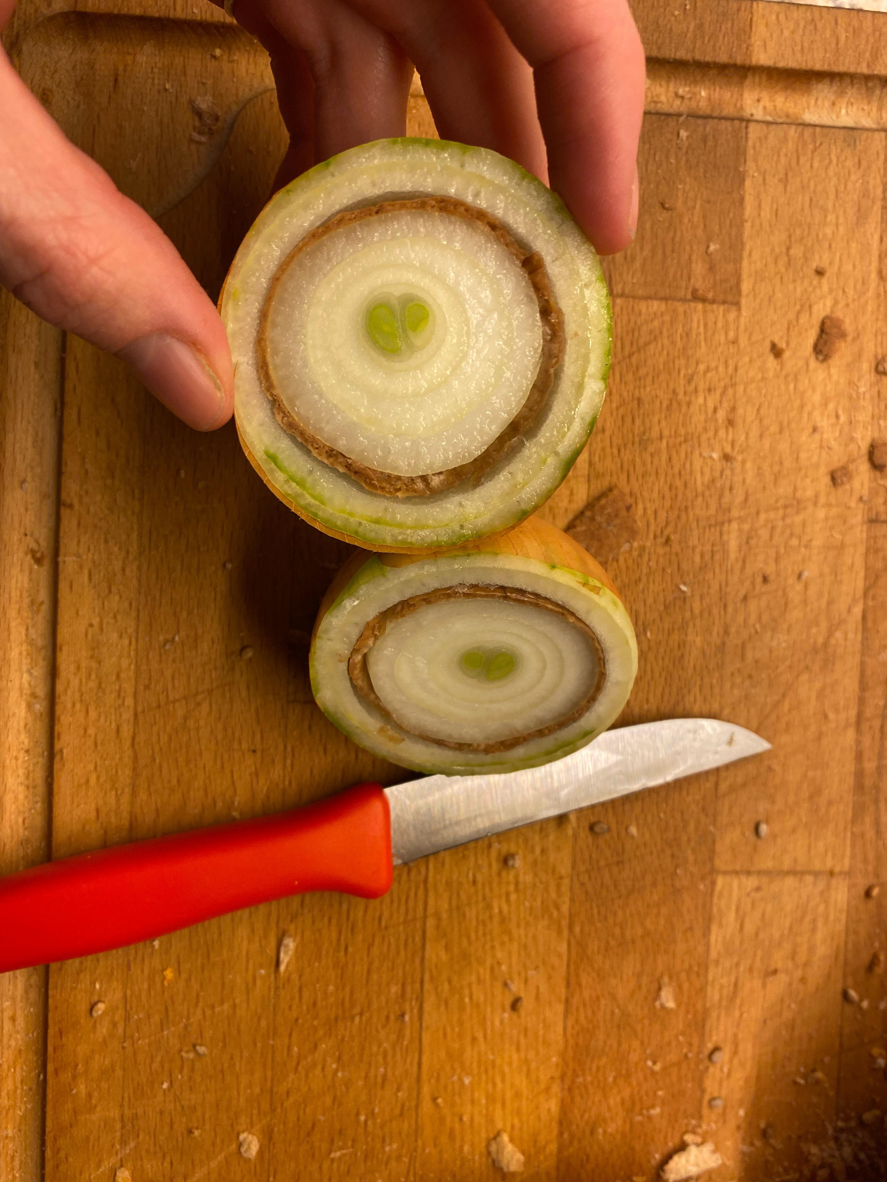 My onion has a layer of outer peel on the inside | Scrolller