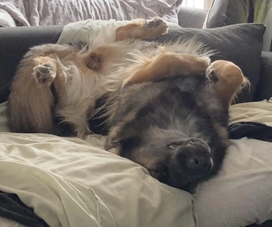 Upside down | Scrolller